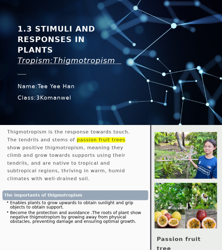 Tee Yee Han Tropism | PDF