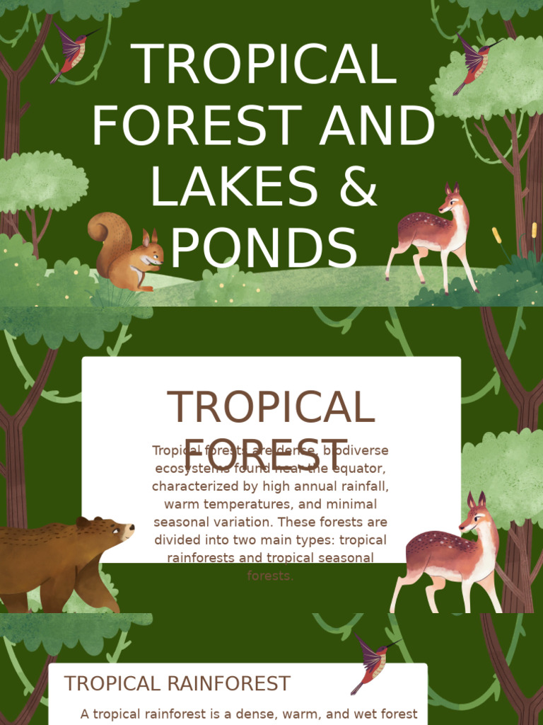 Tropical Forests and Freshwater Ecosystems | PDF | Pond | Forests