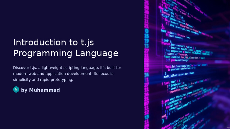 Introduction To Tjs Programming Language | PDF