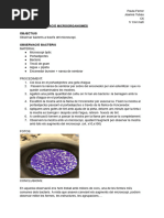 Apunts UD5 NA3 Aparell Urinari- Anatomia, Fisiologia i Patologia | PDF