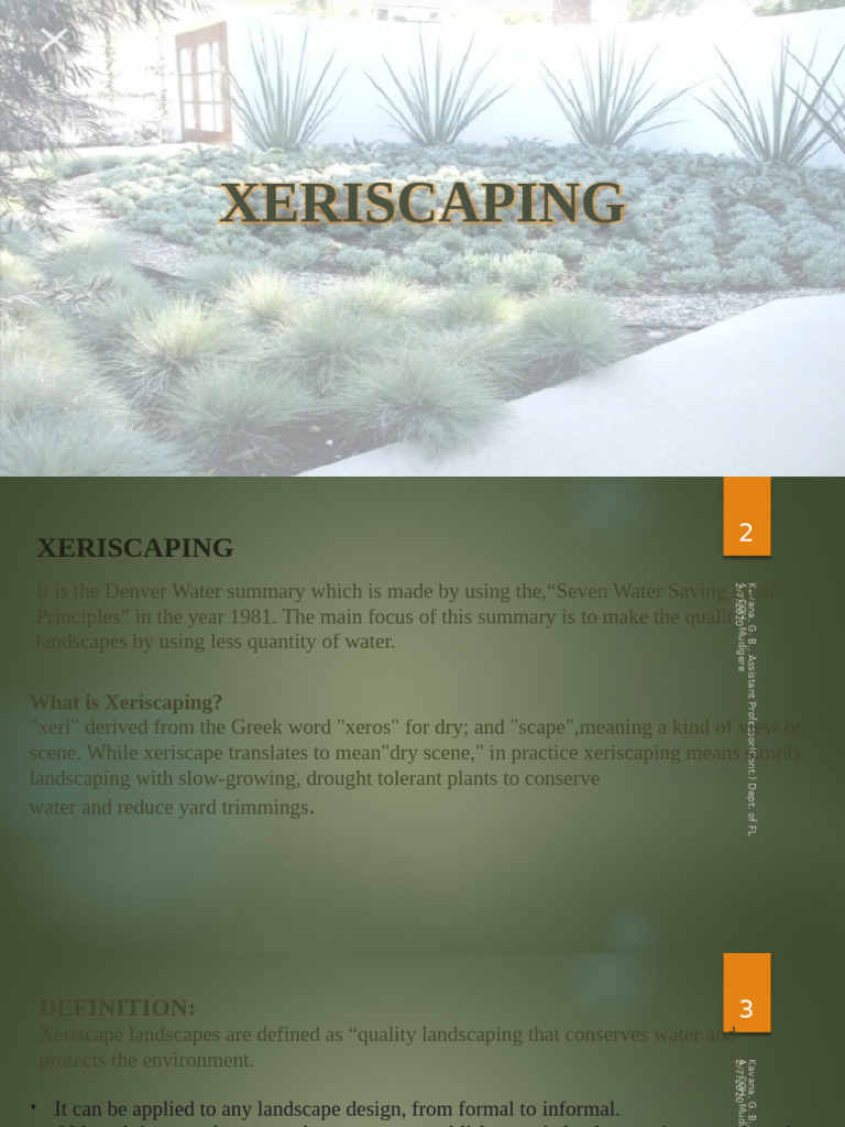 Xeriscaping | PDF | Mulch | Lawn