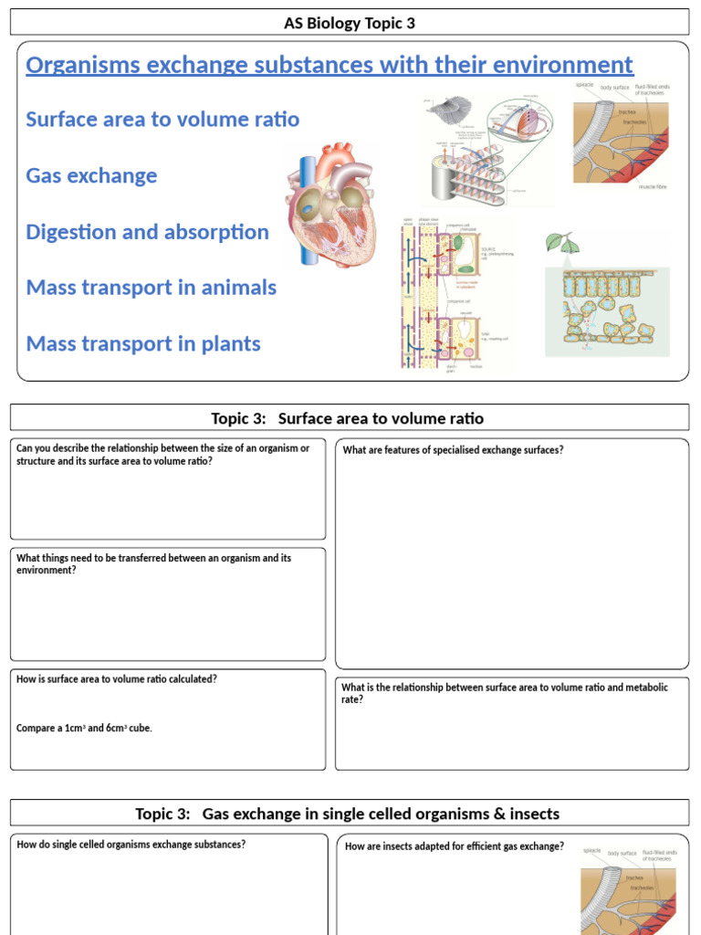 Organism Substance Exchange & Transport | PDF | Physiology | Biology