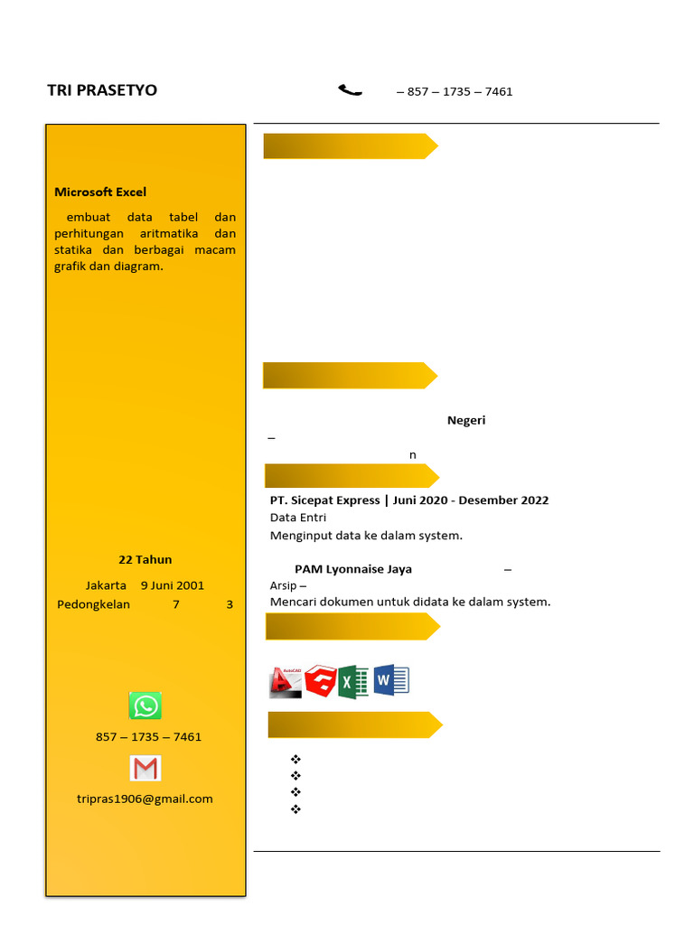 CV - Tri Prasetyo | PDF