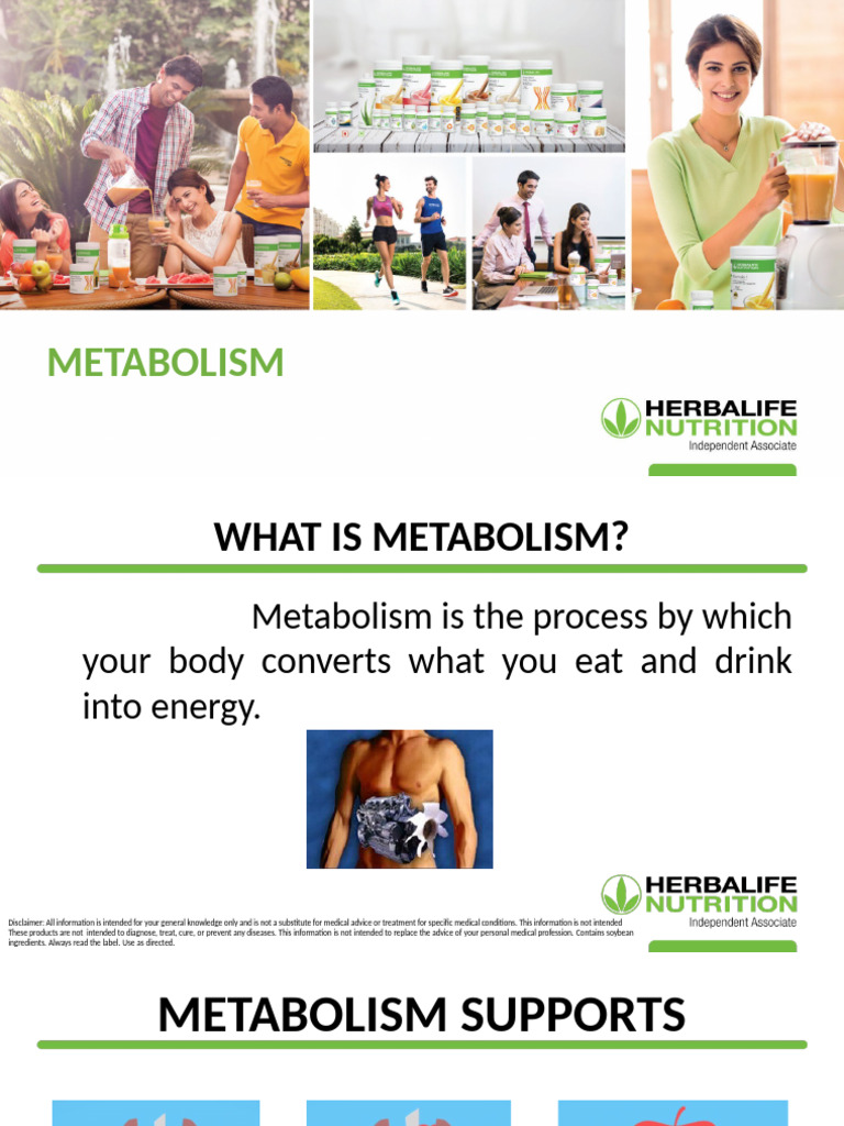 Understanding Metabolism Basics | PDF | Medical Specialties | Nutrition