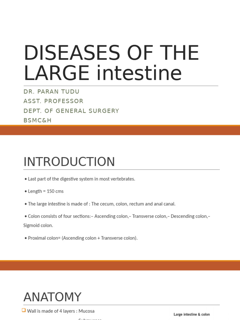 Diseases of Large Gut | PDF | Ulcerative Colitis | Large Intestine