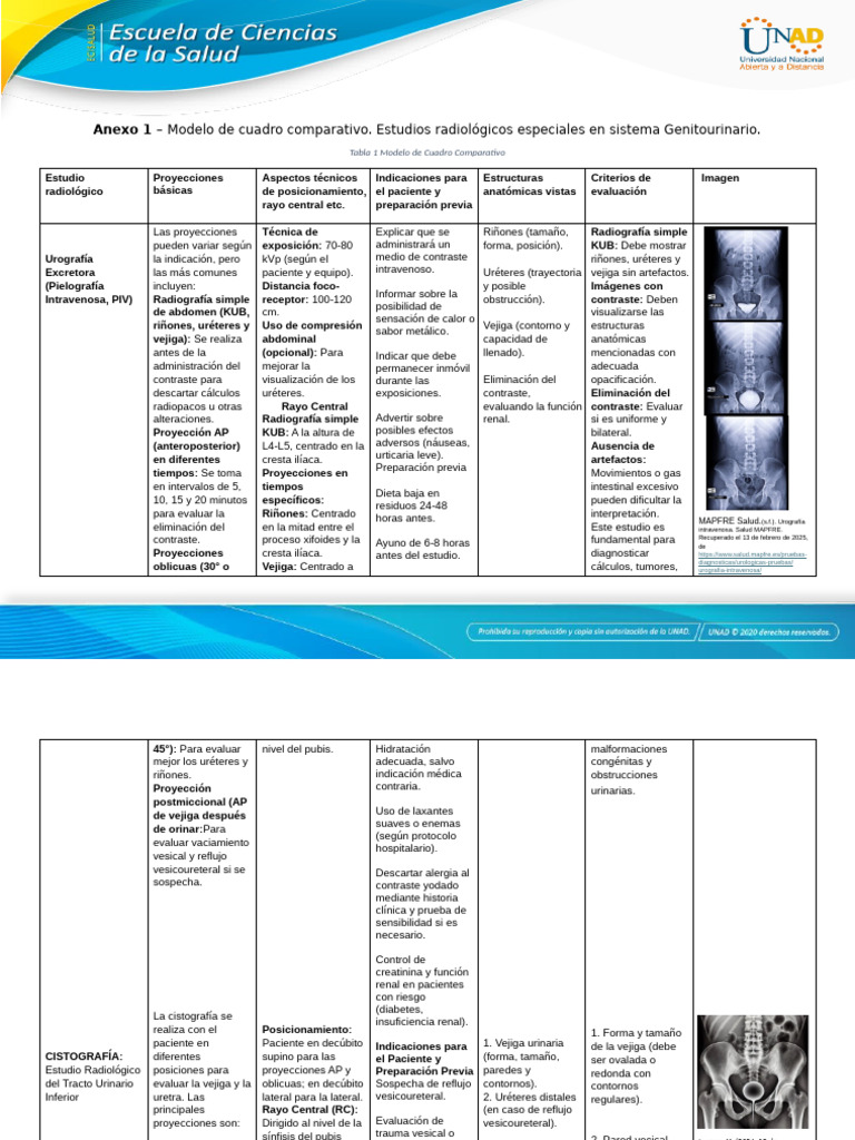 Anexo 1 - Cuadro Comparativo Karol | PDF | Especialidades Medicas ...