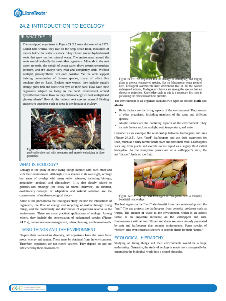 24.02 Introduction To Ecology | PDF | Ecology | Ecosystem