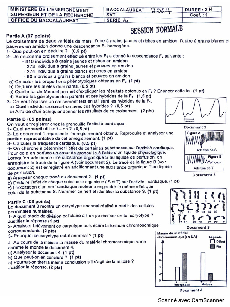 M.kato 98712430 Bac2 SVT A4 2024 | PDF