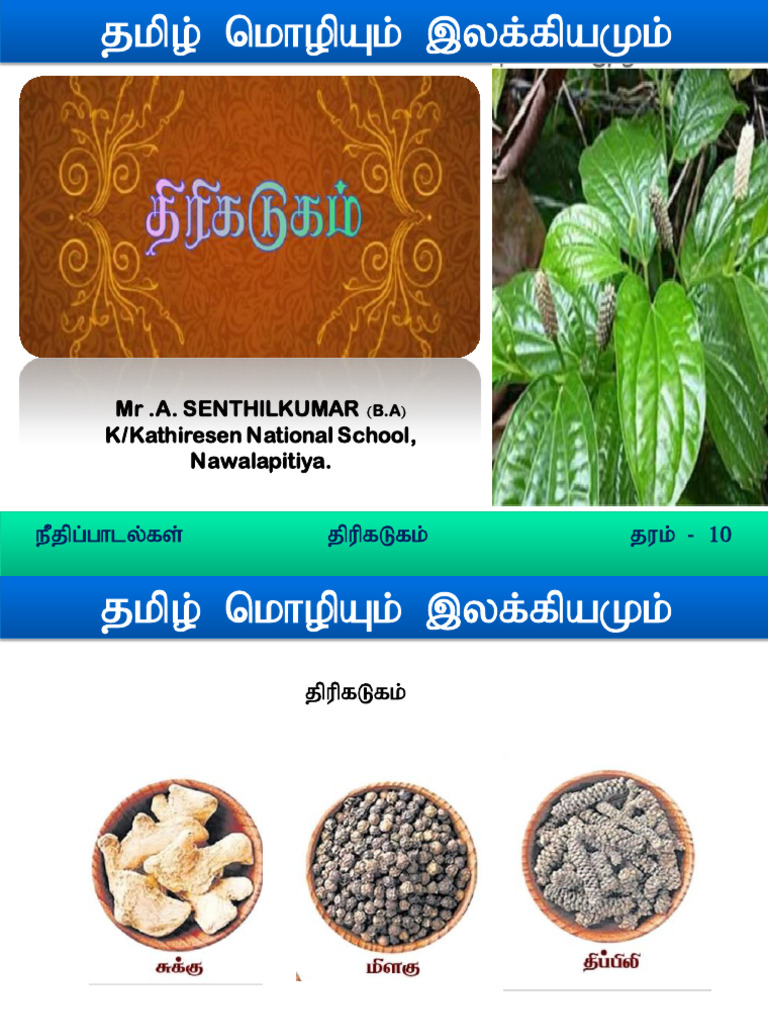 gt10 Tam CP 1 5 | PDF