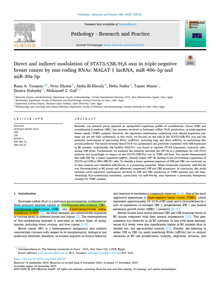 Direct and Indirect Modulation of STAT3CSEH2S Axi | PDF | Gene Expression | Medical Specialties