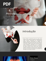 Tipos de Pelve e Suas Características | PDF
