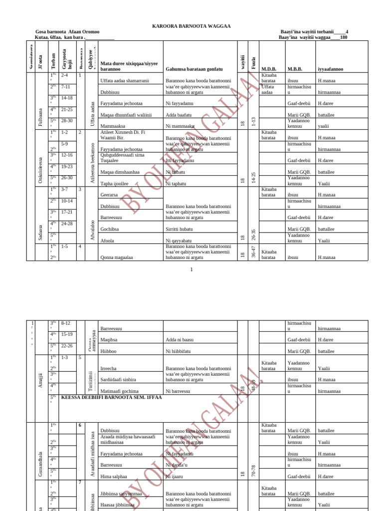 Karoora Barnoota Waggaa | PDF