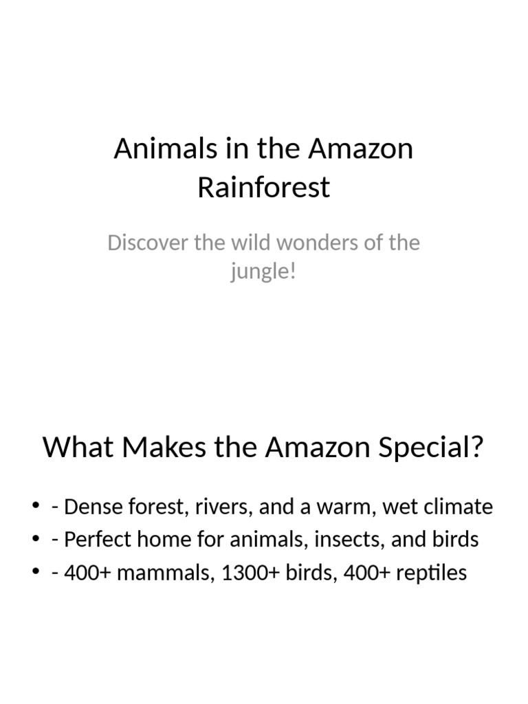 Animals in The Amazon Rainforest | PDF