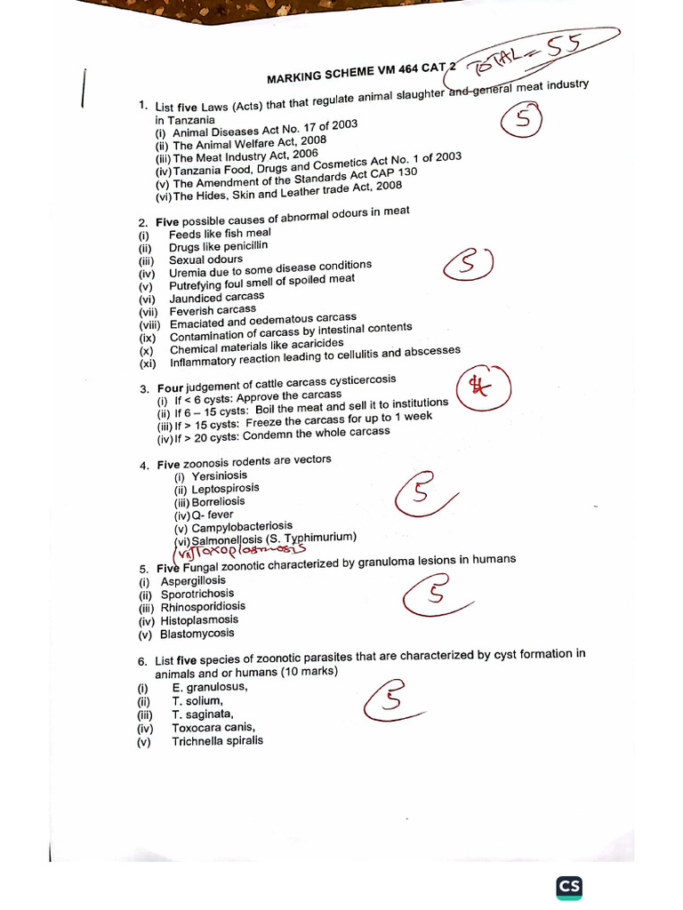 Marking Scheme VM 464 CAT2 | PDF