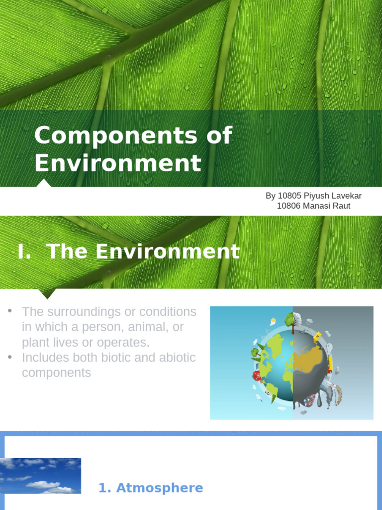 Components of Environment ES1-5,6 | PDF | Rock (Geology) | Atmosphere