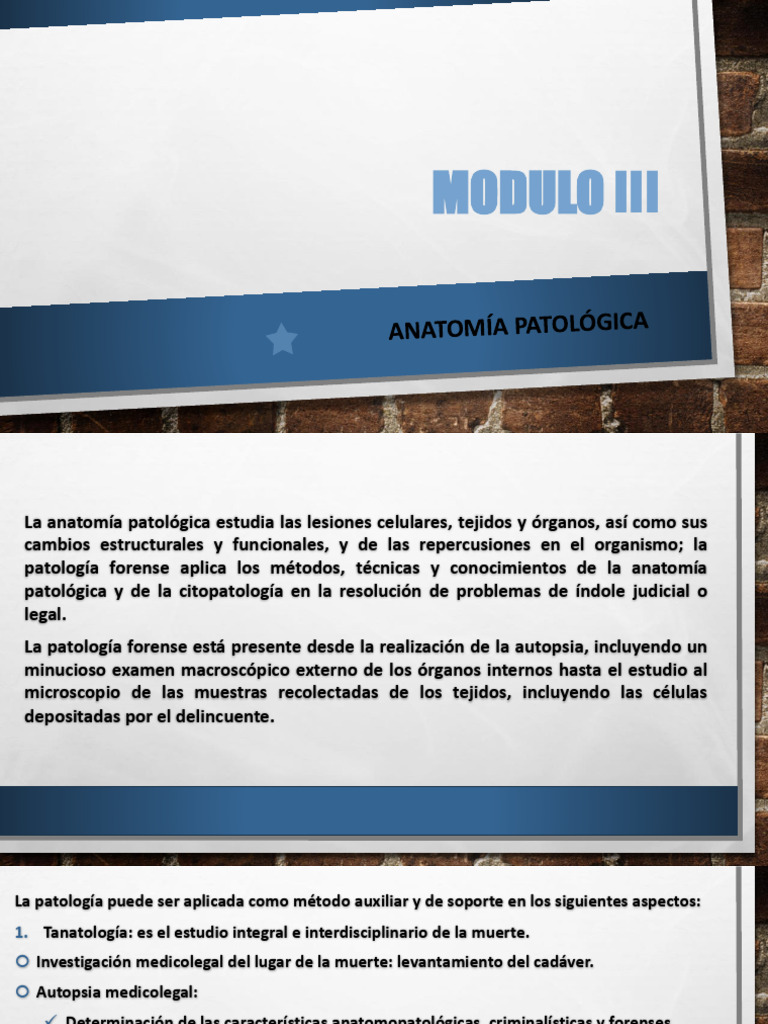 Modulo Iii Anatomia Patologica 2025 Pdf