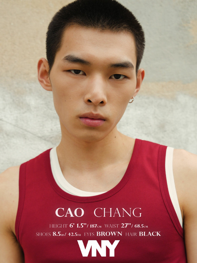 Cao Chang Vny Models | PDF