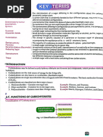 Agamata Management Services Guide | PDF