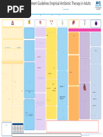 GGC Empirical Antibiotic Guidelines | PDF | Infection | Urinary Tract ...