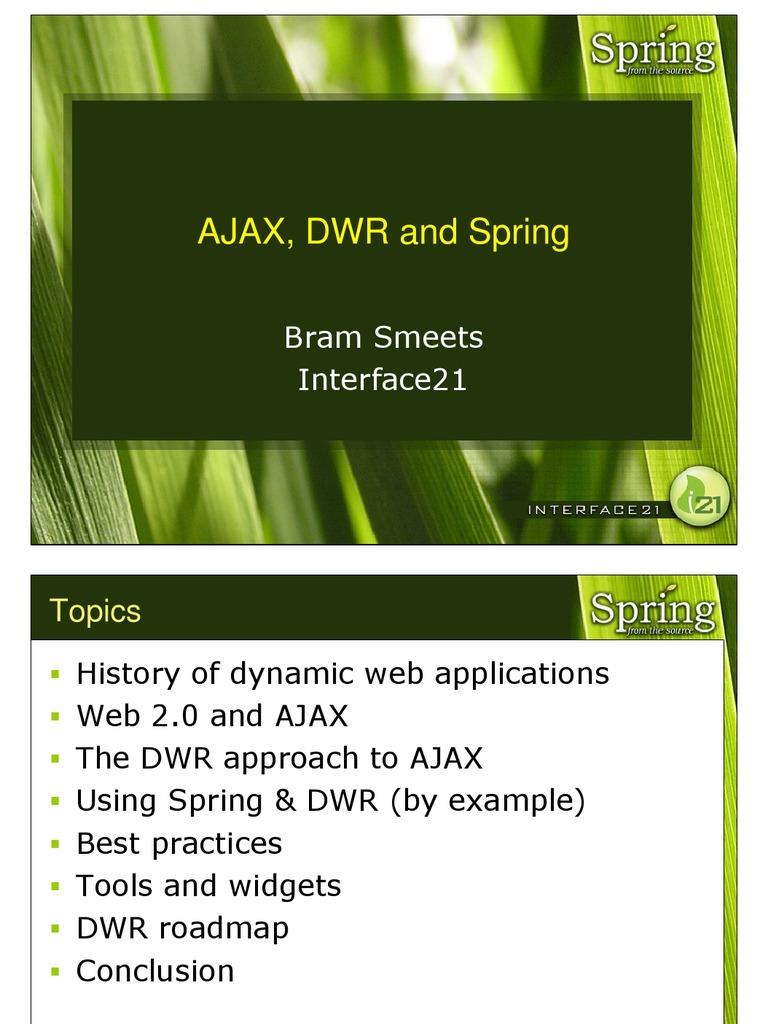 DWR and Spring | PDF | Ajax (Programming) | Web 2.0