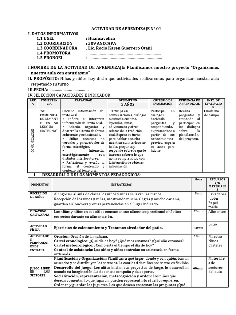 Actividades de Aprendizaje Pronoei Ciclo II | PDF | Evaluación | Metacognición