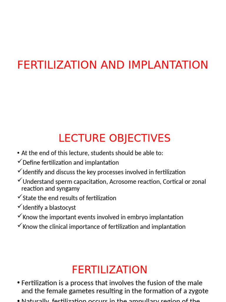 Fertilization and Implantation | PDF | Fertilisation | Uterus