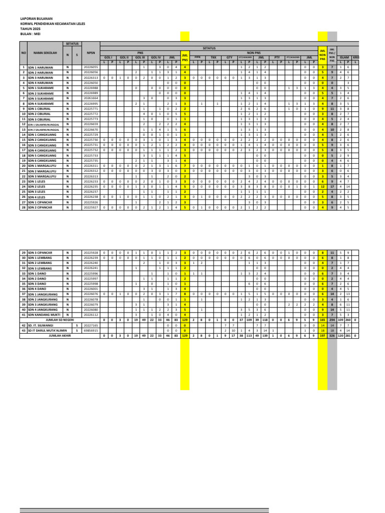 Data PNS Dan Non PNS | PDF