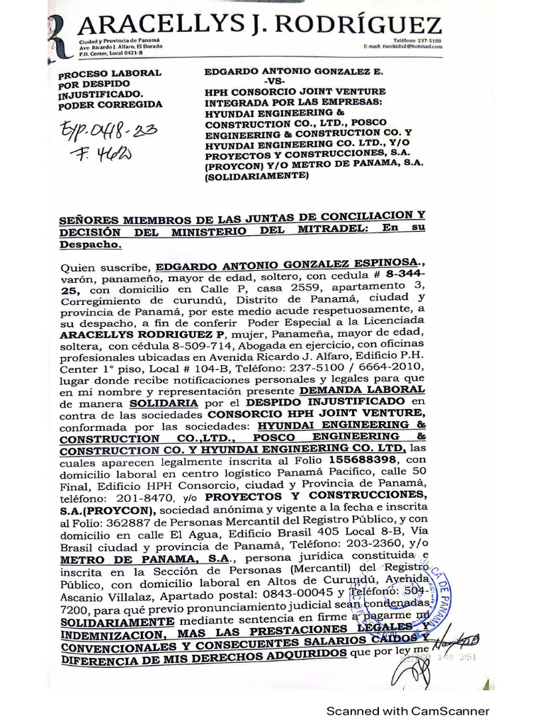 Poder y Demanda Corregida EDGARDO GONZAL | PDF