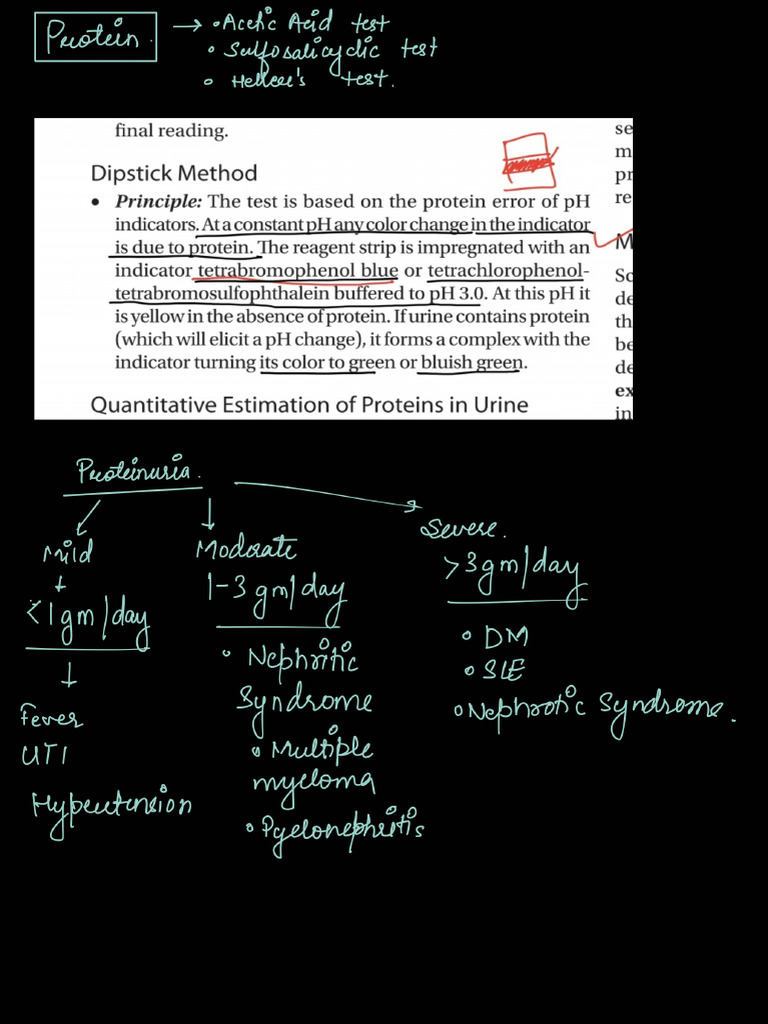 Dipstick 250204 165742 | PDF