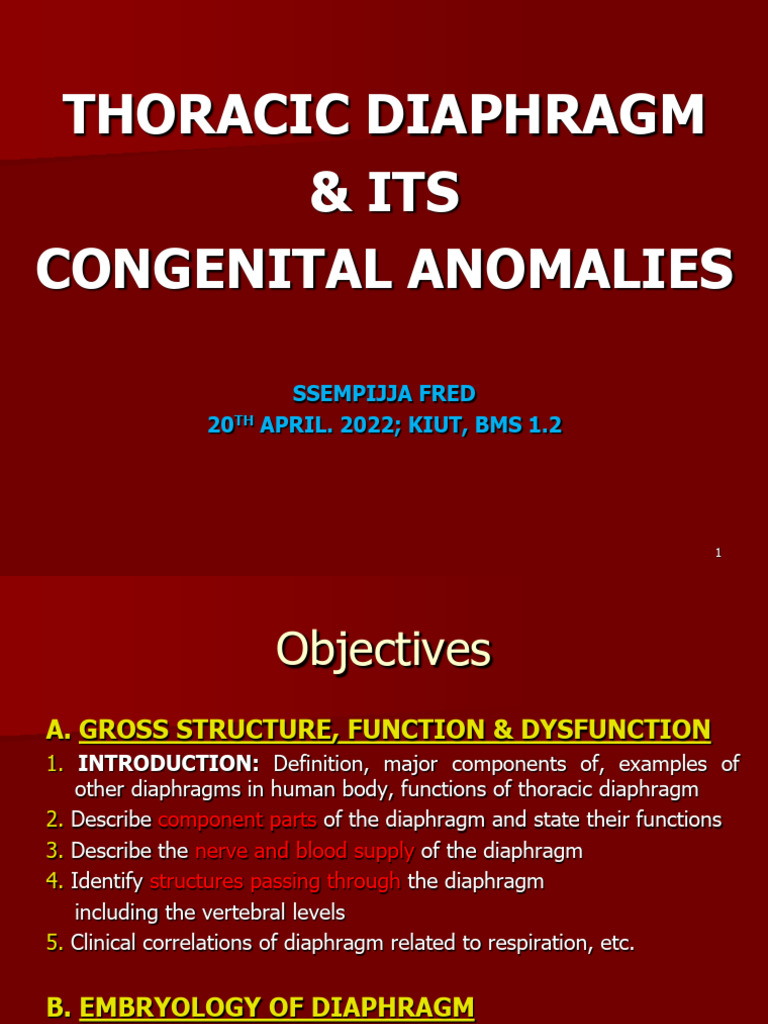 Thoracic Diaphragm: Structure & Function | PDF | Aorta | Esophagus