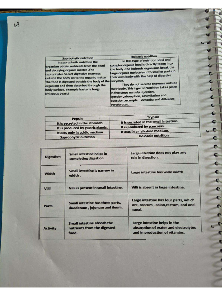 Biology Nutrition Chapter | PDF
