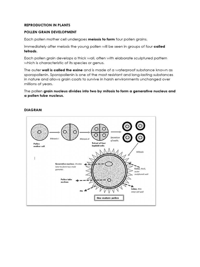 Crop Science Serminar by Sir Wellus Reproduction in Plants | PDF | Pollen | Pollination