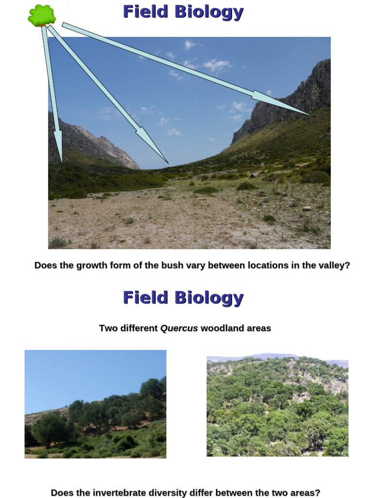 Field Biology: Bush Growth & Butterfly Preferences | PDF | Coefficient ...