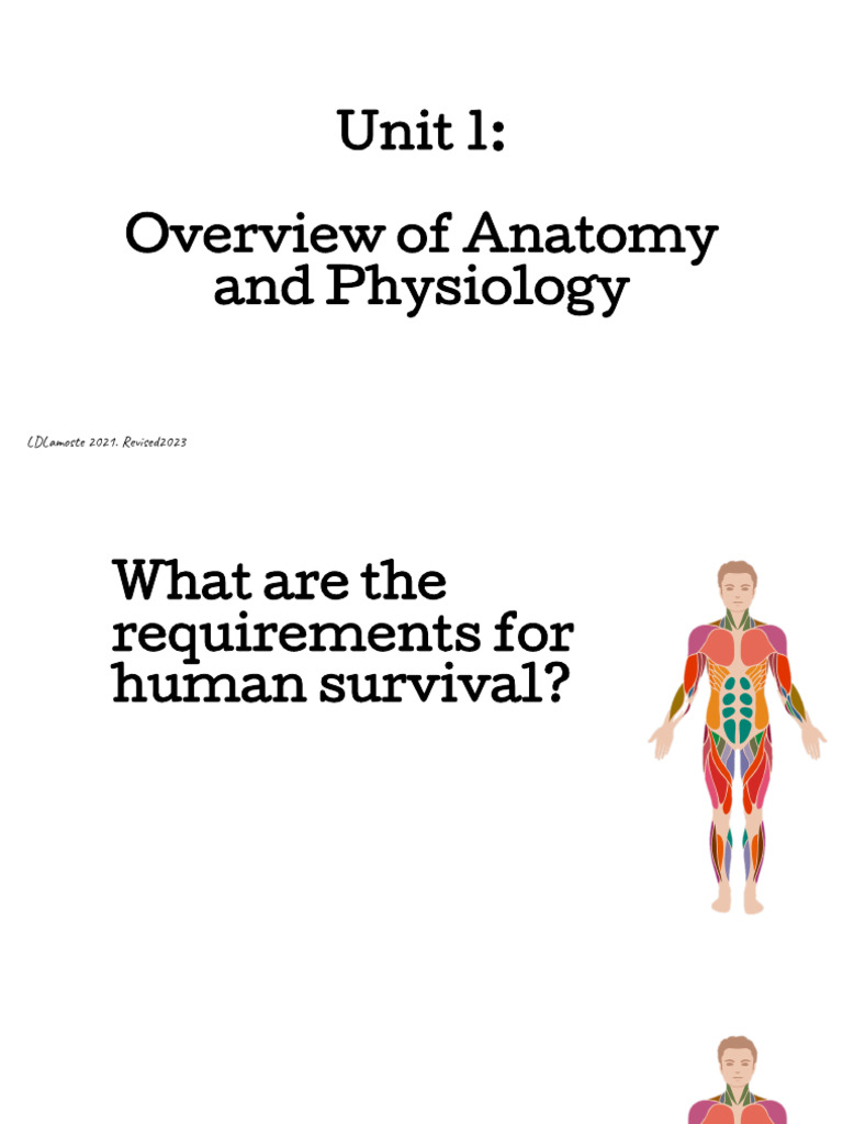 U1 an Overview AnaPhysio | PDF | Anatomical Terms Of Location | Cell (Biology)