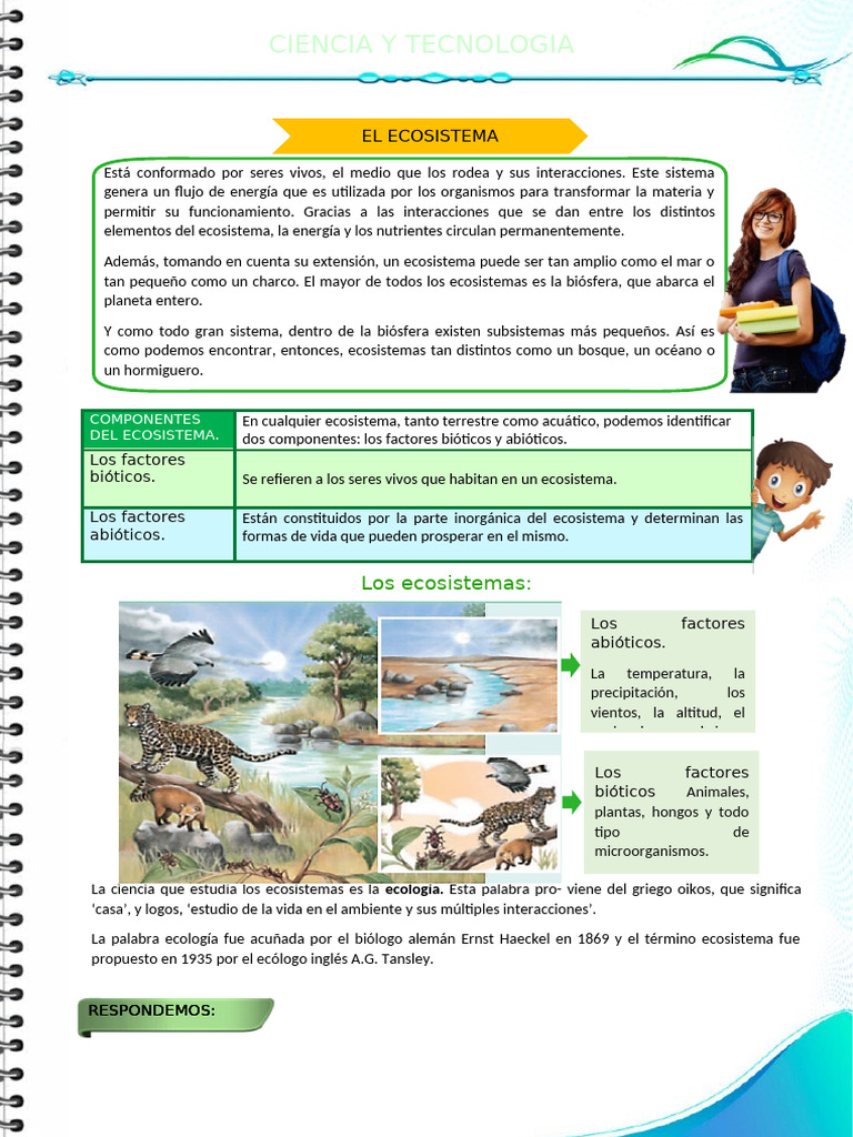 Componentes Del Ecosistema | PDF | Ecosistema | Ecología