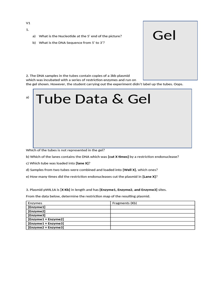 Biotech Quiz Blank Version | PDF