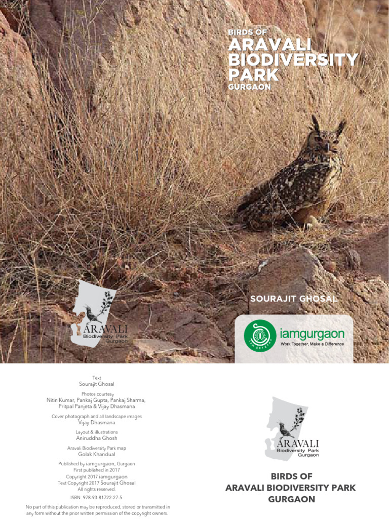 Birds of The Aravali Biodiversity Park Vijay Dhasmana | PDF | Birds ...