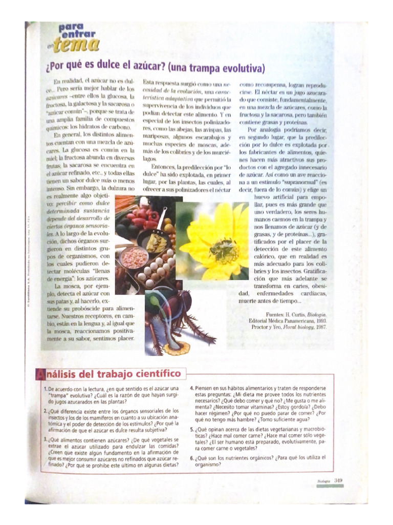¿Por Qué Es Dulce El Azúcar (Una Trampa Evolutiva) | PDF