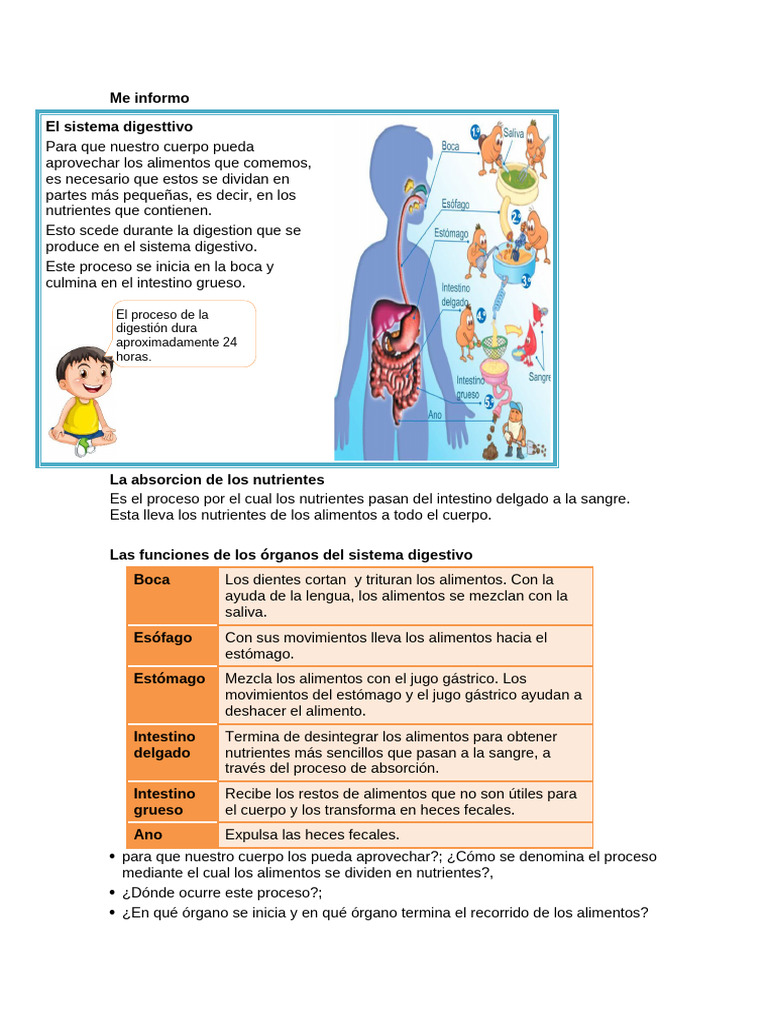 Hojas para Imprimir Sistema Digestivo | PDF | Digestión | Sistema ...