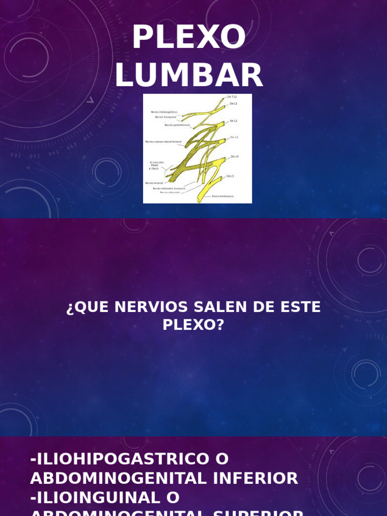 Plexo Lumbar | PDF