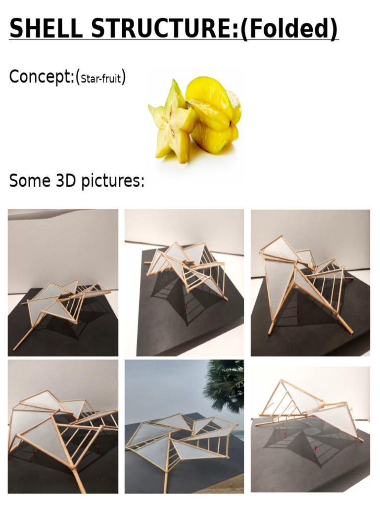 Shell Structure Muntaha | PDF