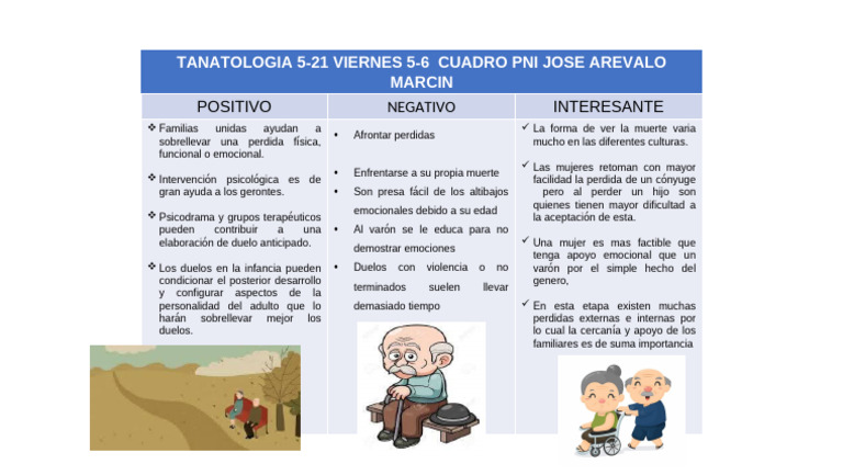 Cuadro PNI | PDF