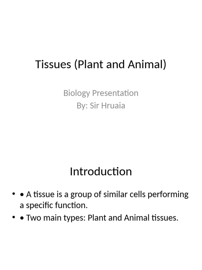 Tissues Presentation With Images | PDF