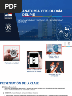 Anatomía de la Arteria Pedia del Pie | PDF | Pie | Dedo del pie