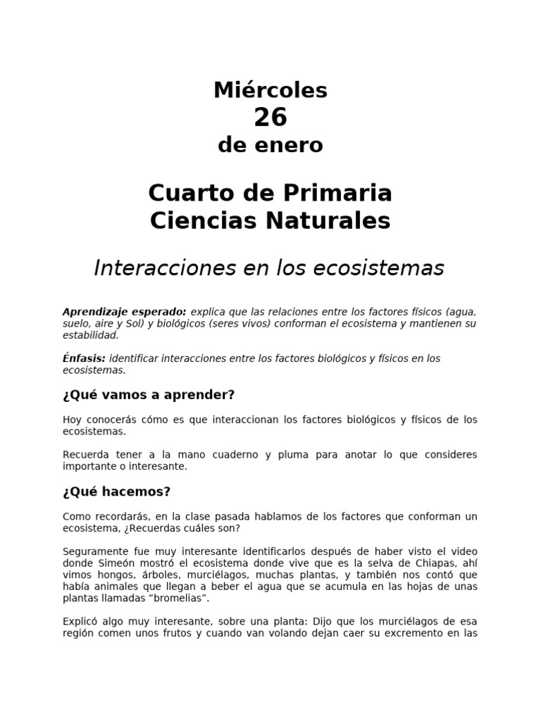 Interacciones en Los Ecosistemas | PDF | Ecosistema | Suelo