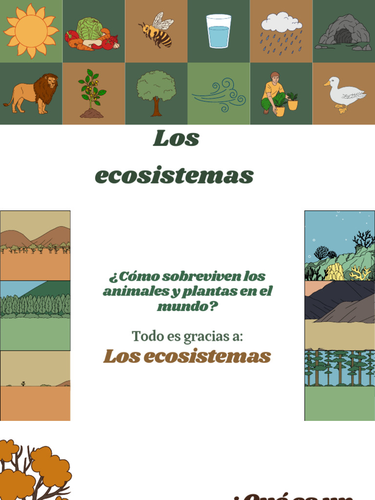 Presentación Tipos de Ecosistemas | PDF | Ecosistema | Clima templado
