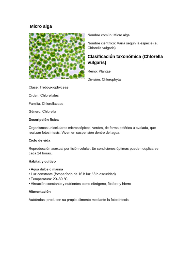 Ficha Técnica - Microalga | PDF