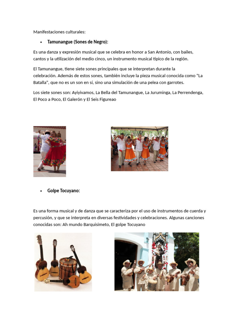 Diego Timaure-Cierre de Proyecto | PDF | Alimentos | Cocina occidental