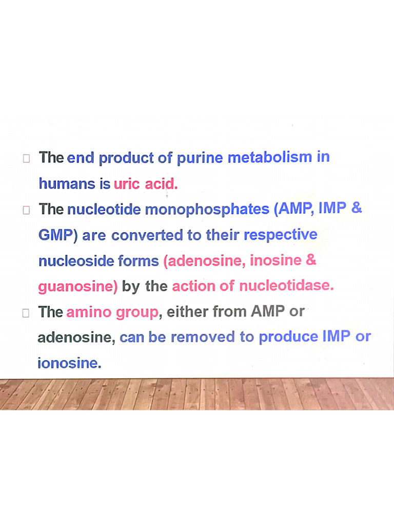 Purine Metabolism and Gout | PDF