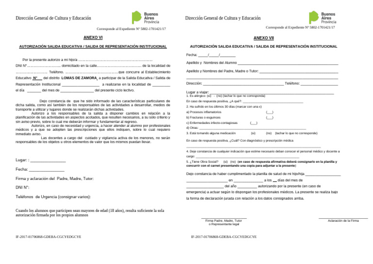 Anexo VI y VII 2023 | PDF